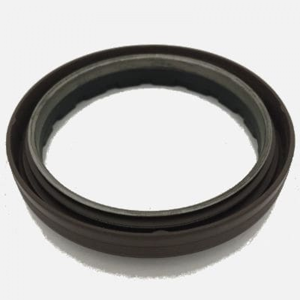 1502384 1393331 1380160 Retentor da Saída Traseira do Câmbio ...