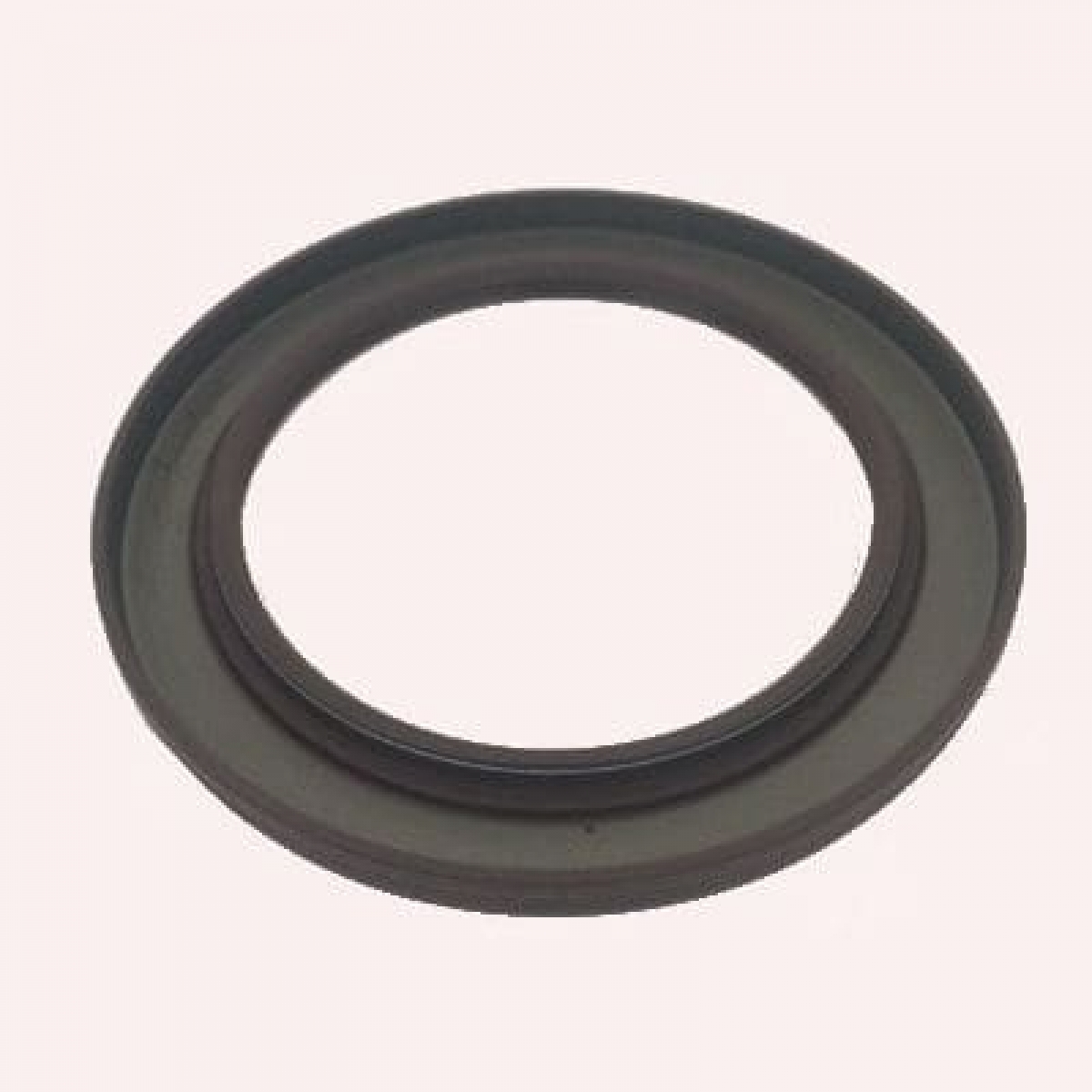 122795605R 122791HC0A 12279ED000 122793VA0A Retén Trasero ...