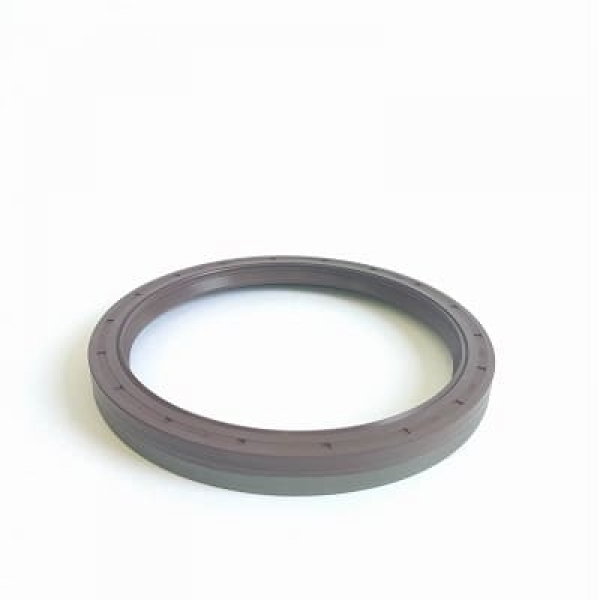 2V2311115 BH2X7D049BA 50018503334 Retentor Traseiro do Câmbio ...