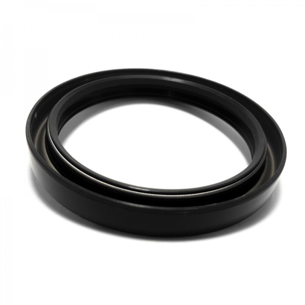 40102170 6208335M1 40102174 40102173 40100813 Retentor do ...