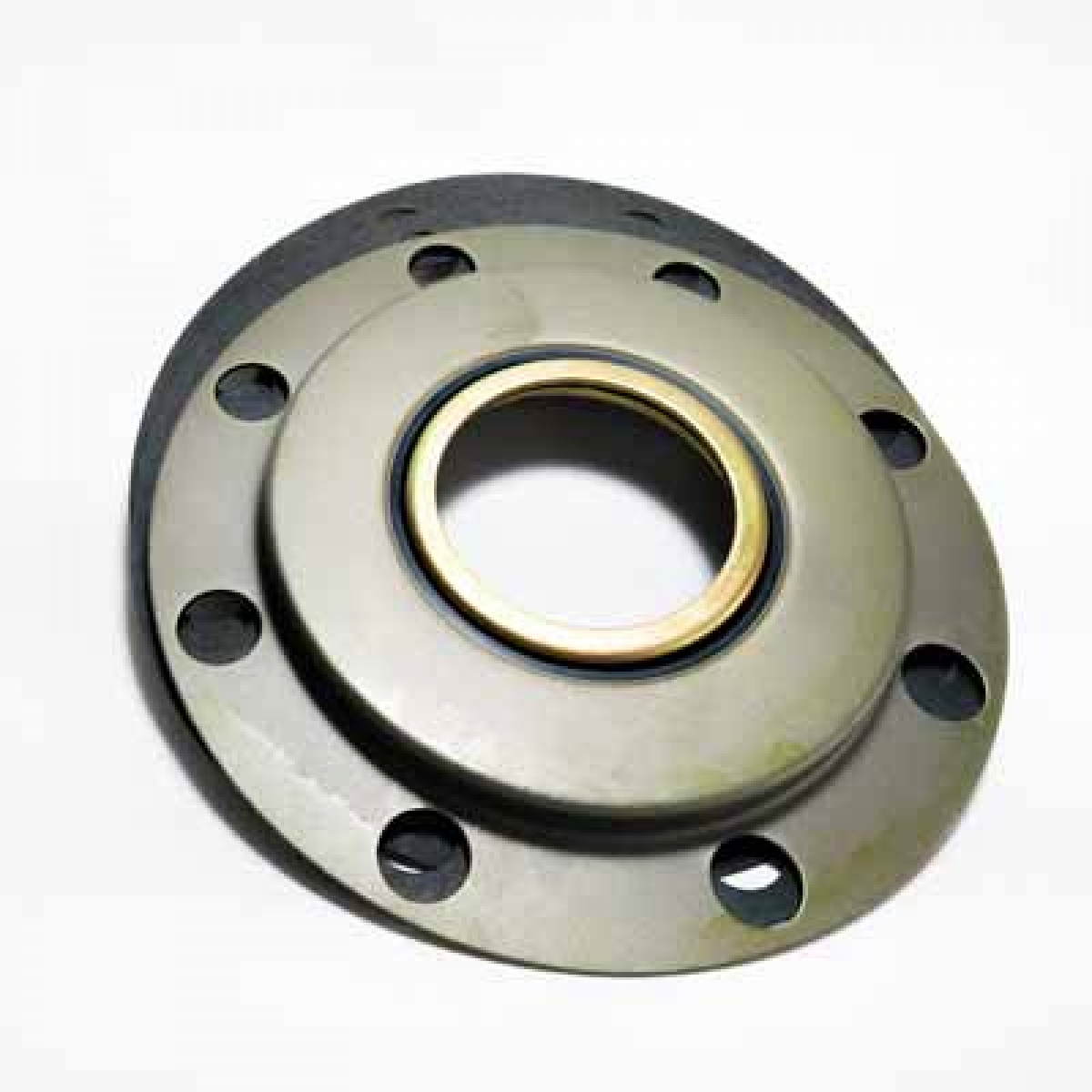 7153061 BD0T1181A 258120 580007506 502369 Retentor Cubo Traseiro ...